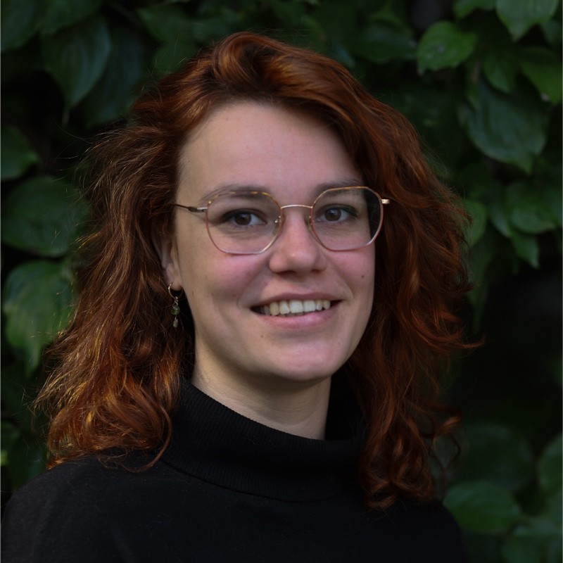 Wat zijn veren? | Leren over veerkracht en veerconstante