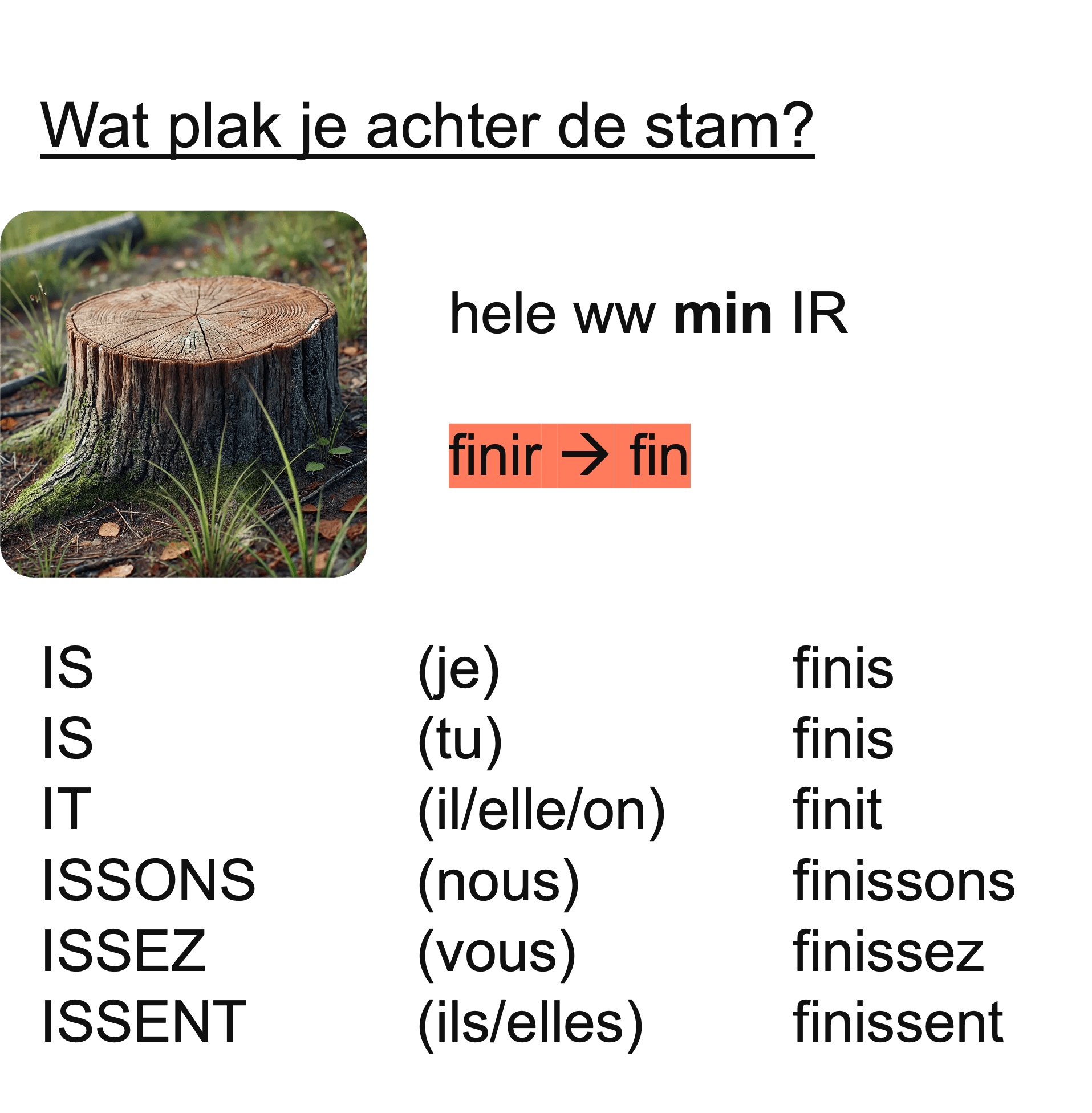 Frans | Regelmatige werkwoorden op -IR (présent)